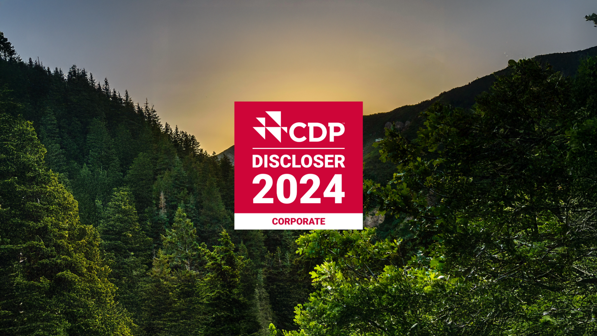 Strengthening Our Commitment to Sustainability: Full Group CDP ...
